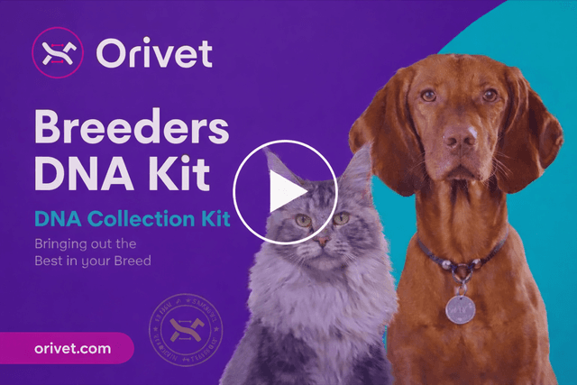 Geno Pet Dog Breed Identification Test Kit