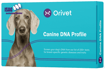Dog Genetic Testing for Breeders | Orivet Genetic Pet Care